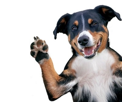 Review: 2nd May 2023 - The Non-League Review | FA Trophy and much more